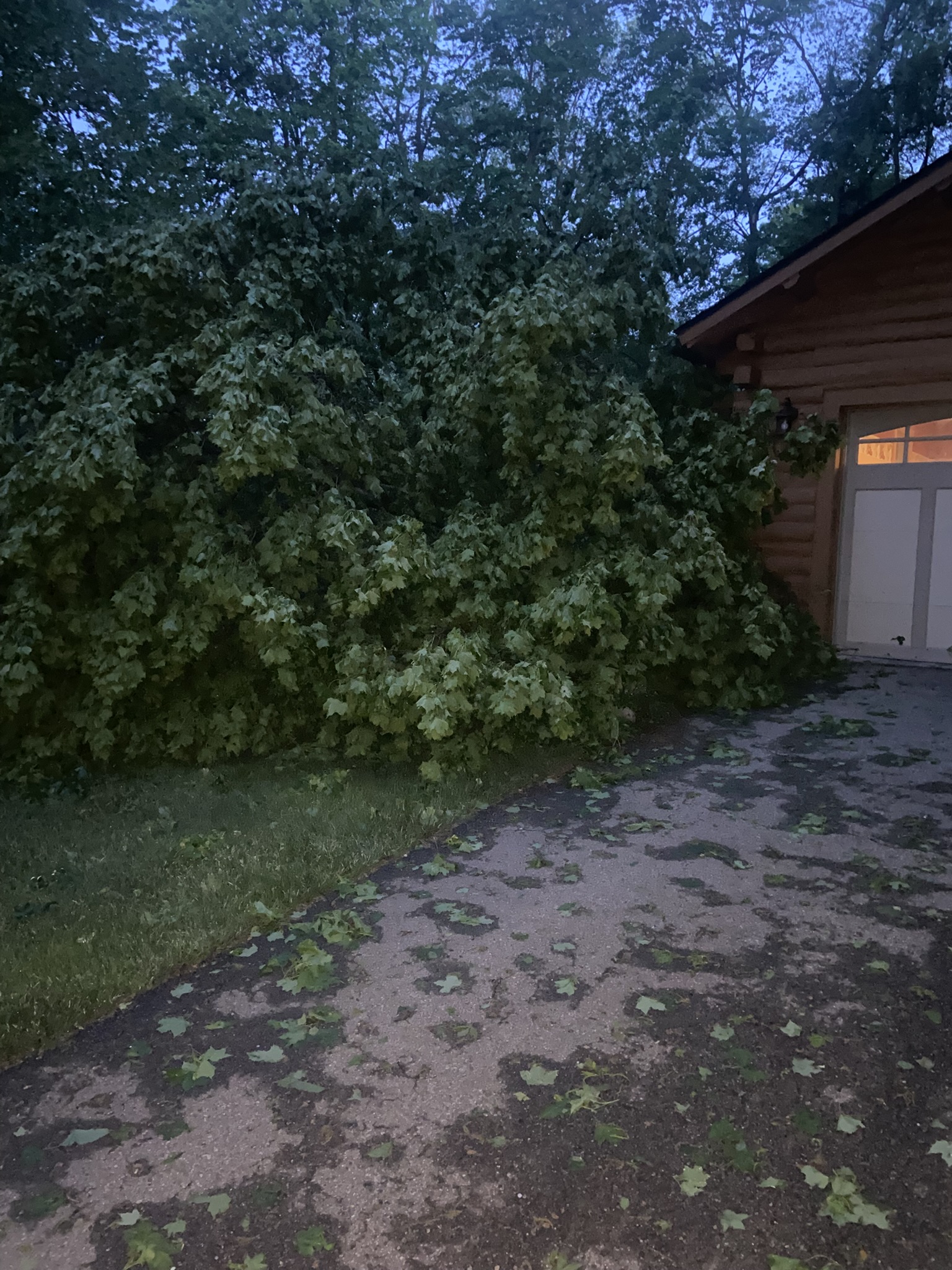 Lisa Lewis Koster – True Hope and a Future